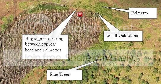 three lakes wma | Archery Talk Forum