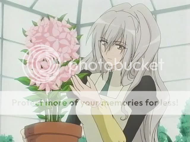 Ask Shizuma - Forums - MyAnimeList.net